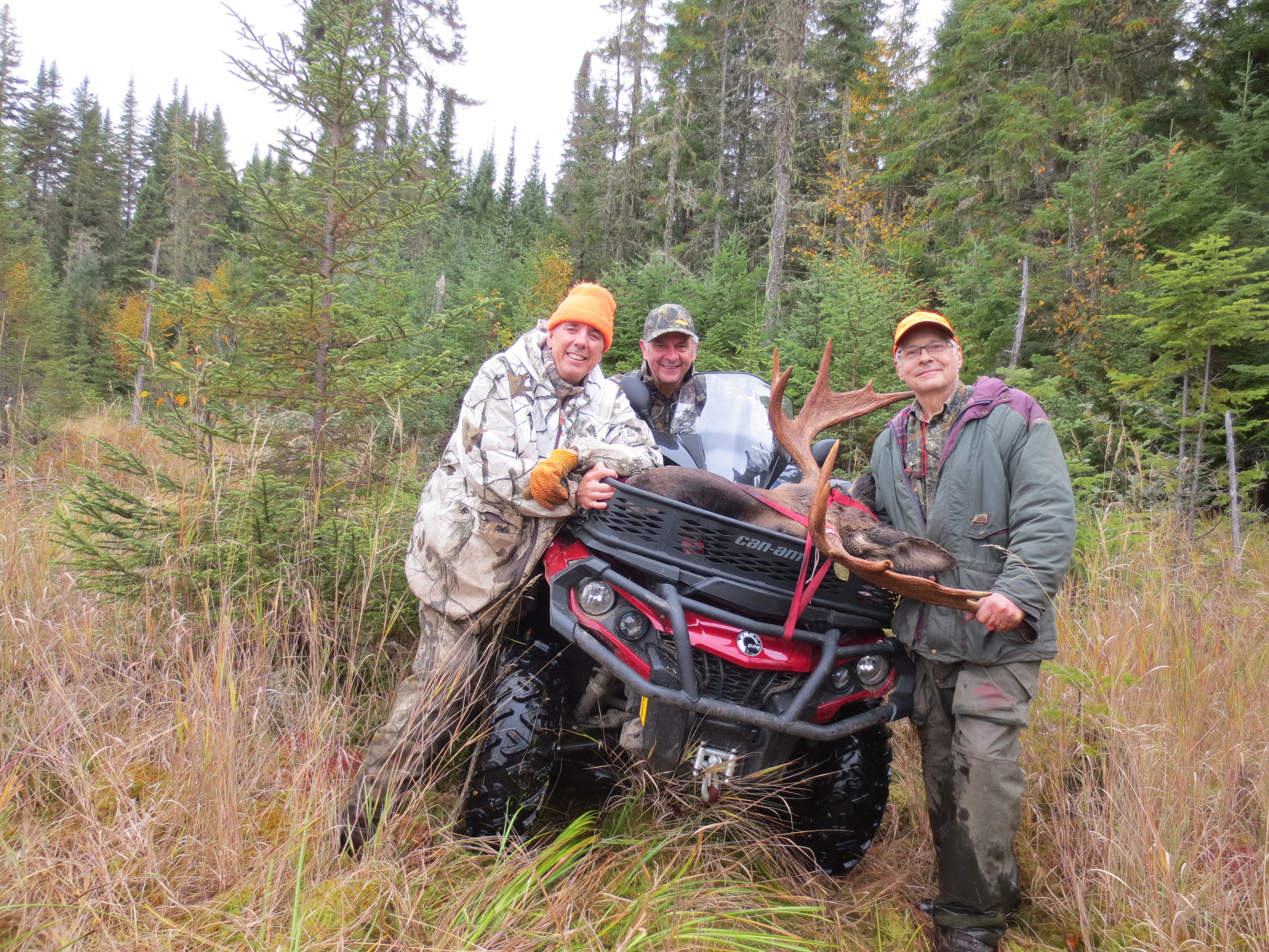 Chasse - Orignal - Pourvoirie Waban-Aki